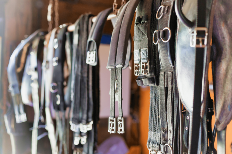 How much does horse tack cost? (English + Western) - Horse Rookie