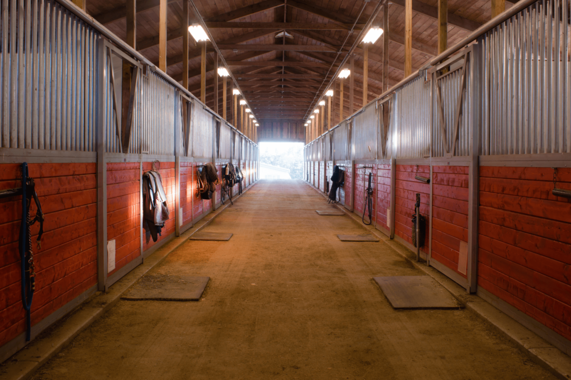 Horse Boarding 101 (What it Costs, Types, FAQs) - Horse Rookie