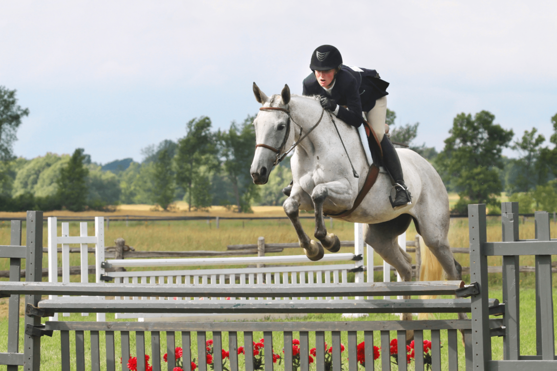 Horse Show Jumping: A Complete Beginners Guide
