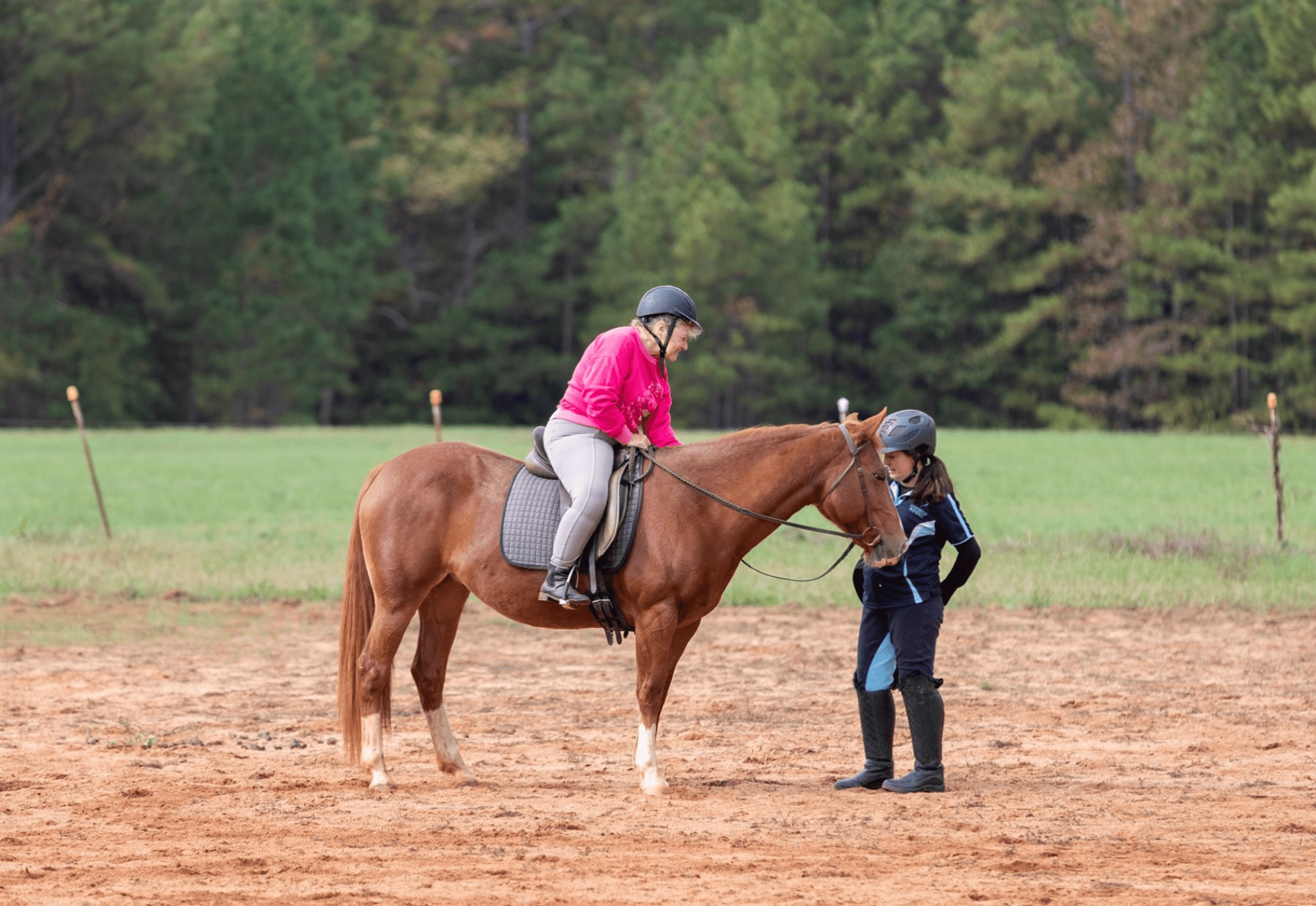 8 Transformative Ways to Build Trust With Your Horse - Horse Rookie
