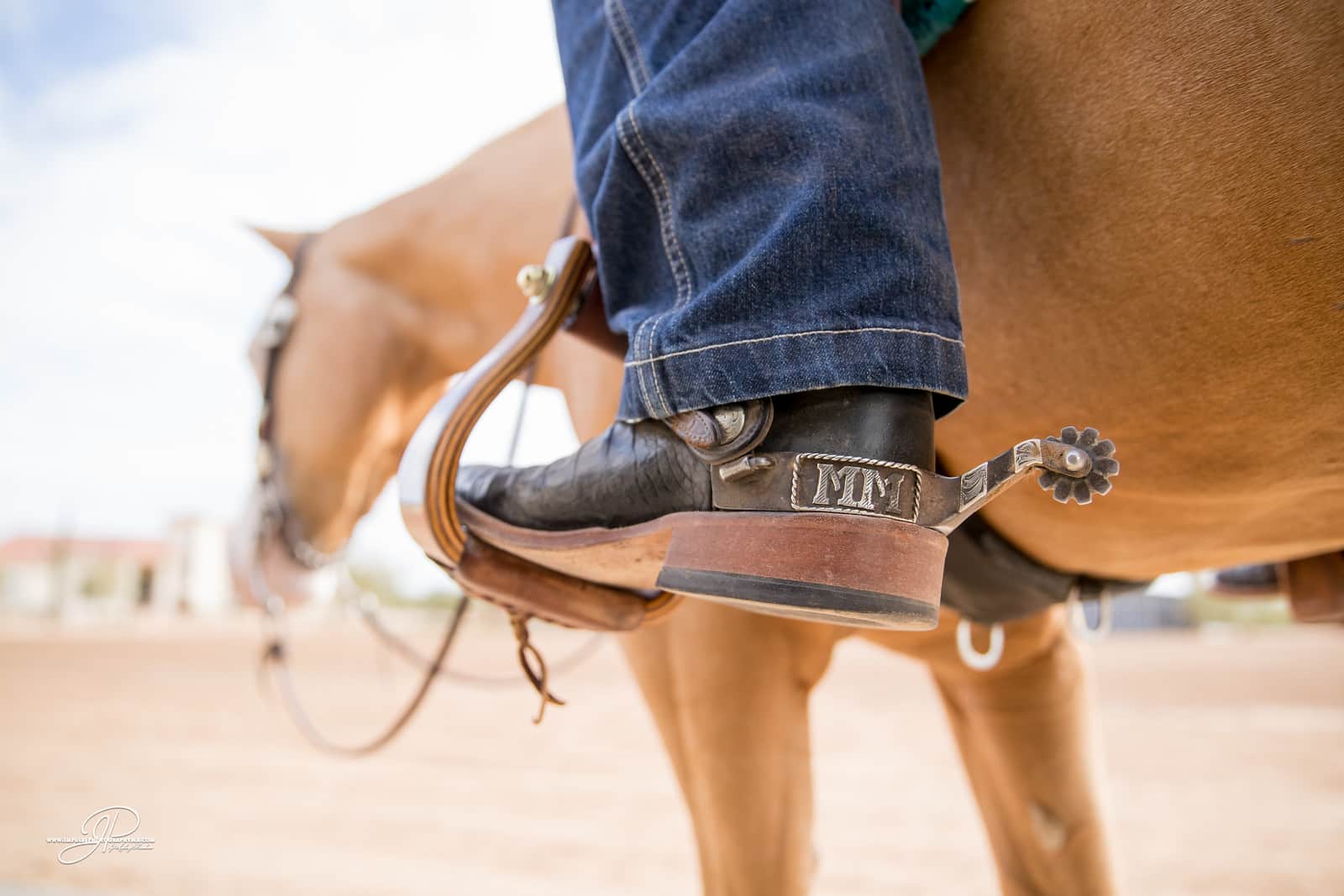 Letter to My Rookie Self: Matt Mills Reining