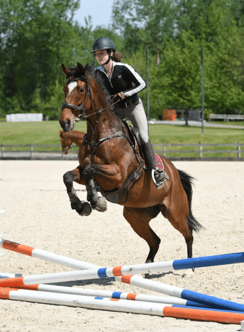 25 Tips to Take Your Show Jumping from Average to Awesome - Horse Rookie