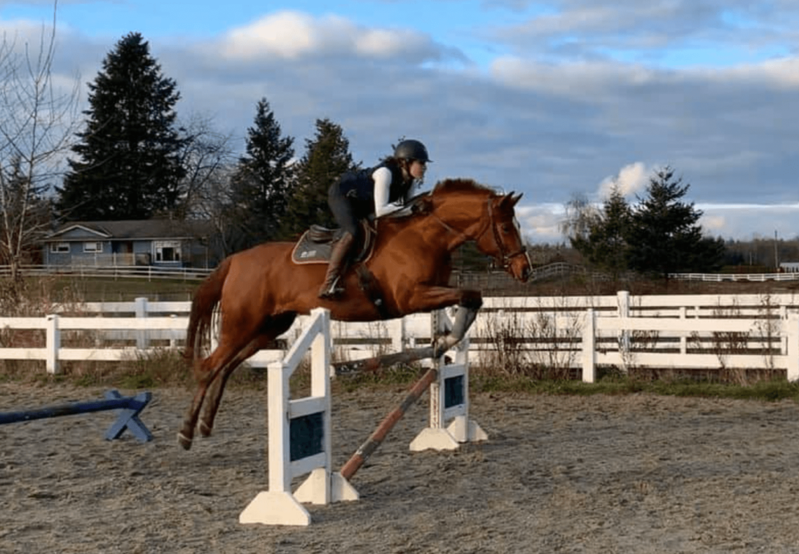 25 Tips to Take Your Show Jumping from Average to Awesome - Horse Rookie