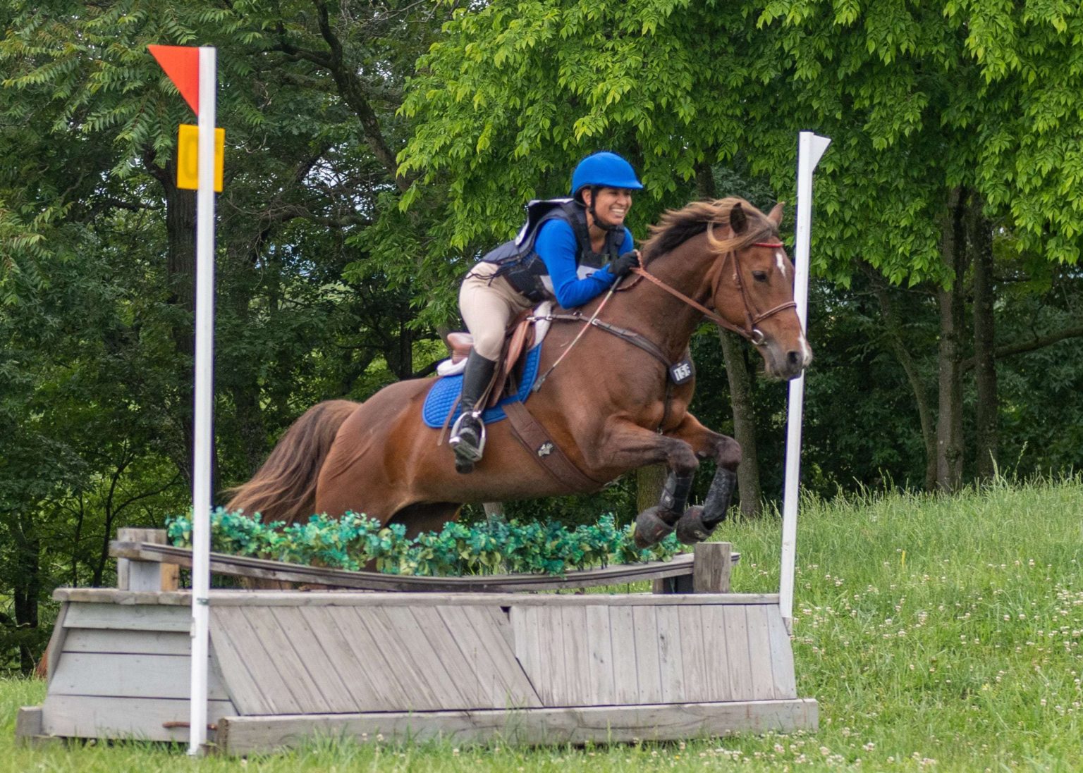 Arabian Horse Lifespan 101 (Helpful Beginner’s Guide)