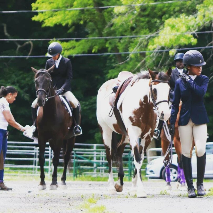 What is Pony Club, and why should you join? - Horse Rookie