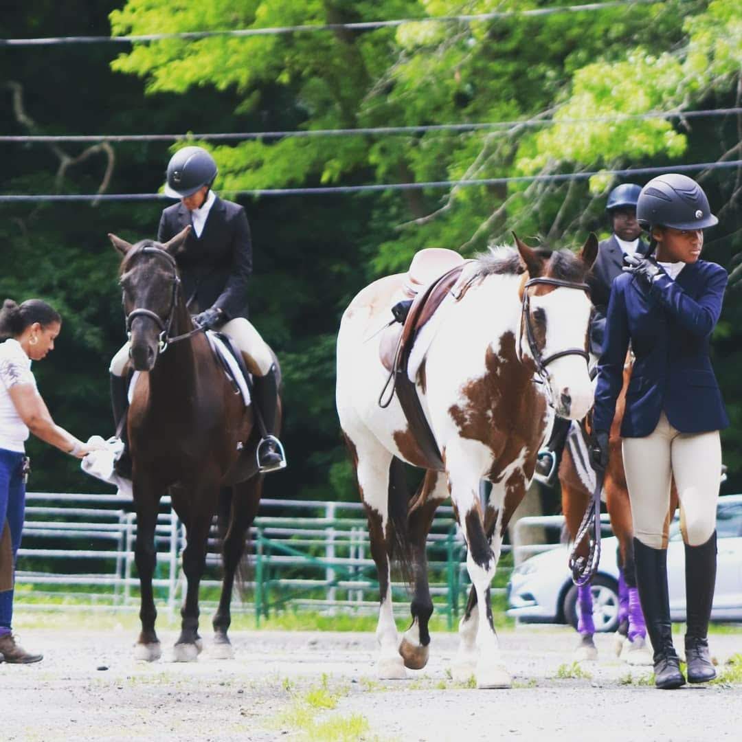 What is Pony Club, and why should you join? - Horse Rookie