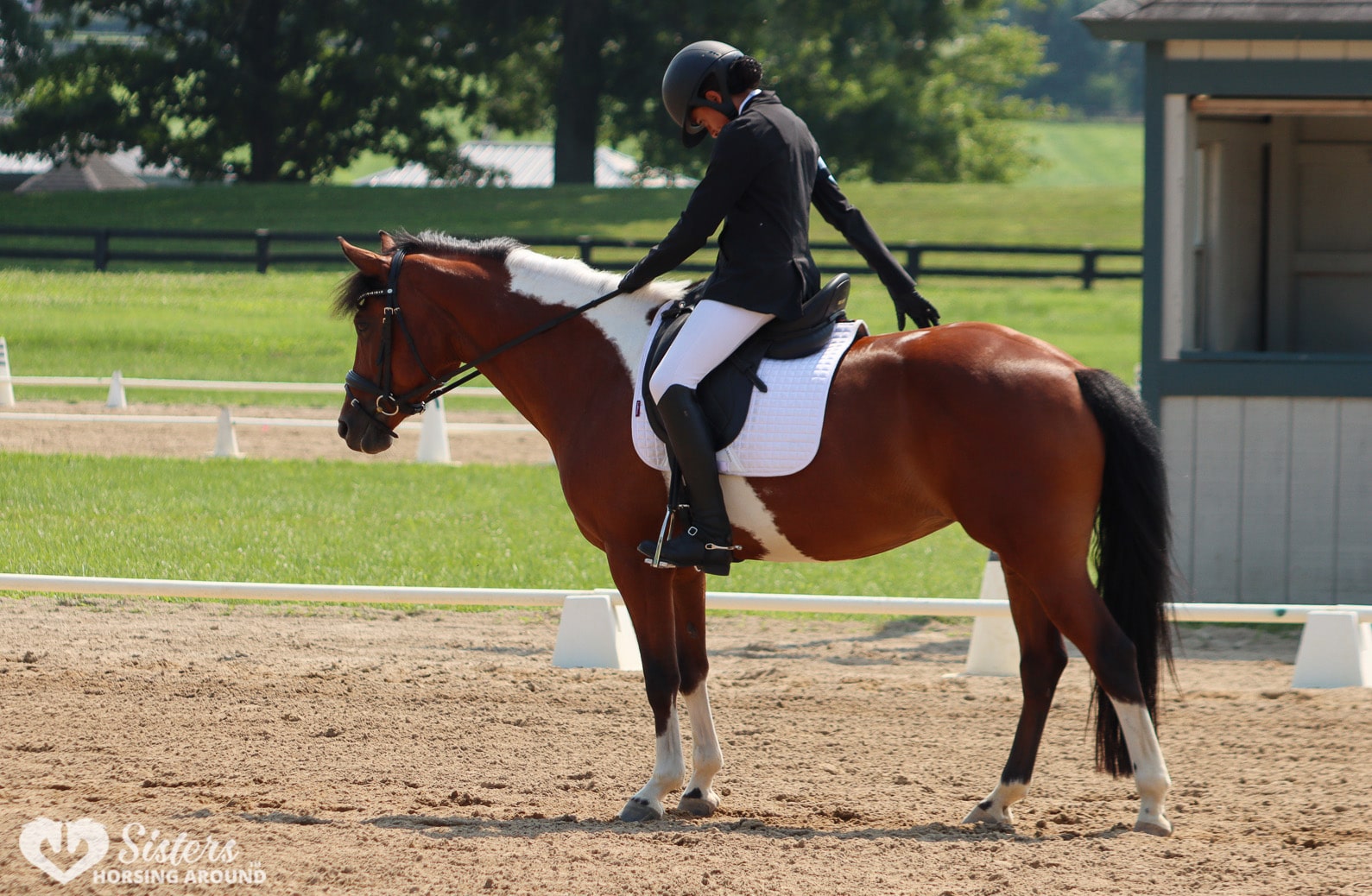 What to Pack for Pony Club Camp (Horse Edition) - Horse Rookie