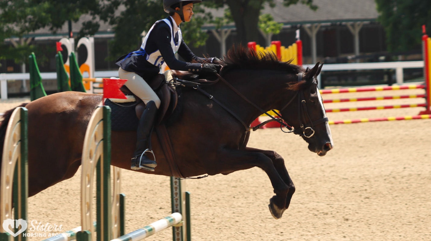 What is Pony Club, and why should you join? - Horse Rookie