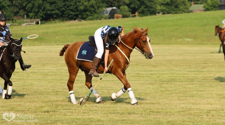 What is Pony Club, and why should you join? - Horse Rookie