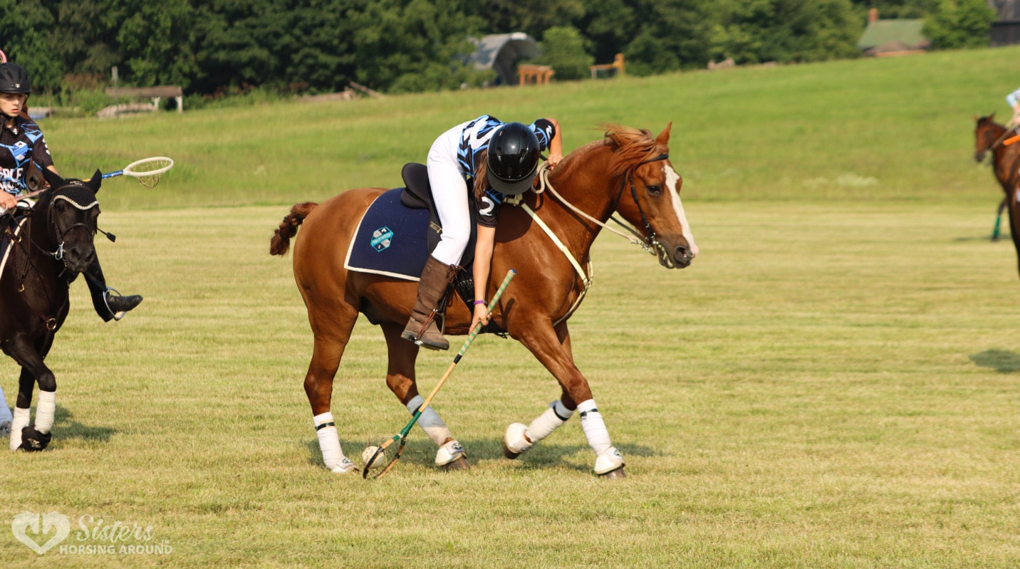 What is Pony Club, and why should you join? - Horse Rookie