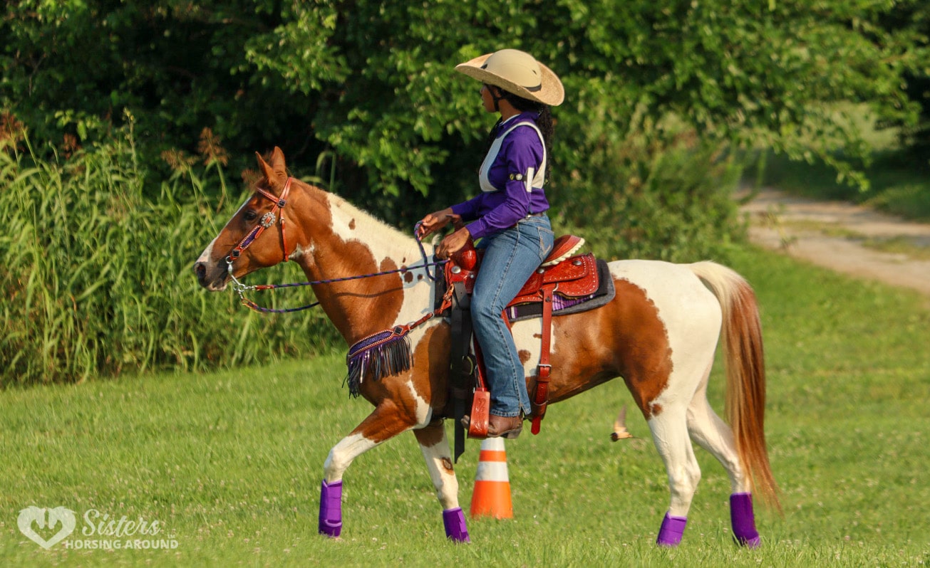What is Pony Club, and why should you join? - Horse Rookie