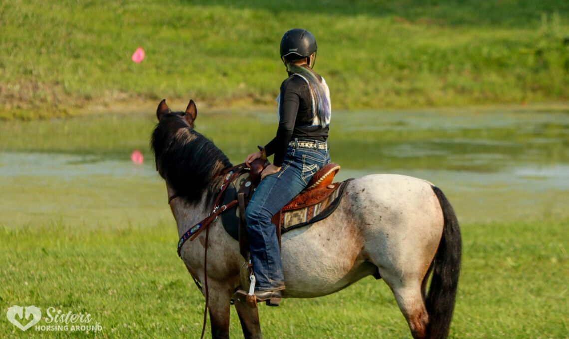 What is Pony Club, and why should you join? - Horse Rookie