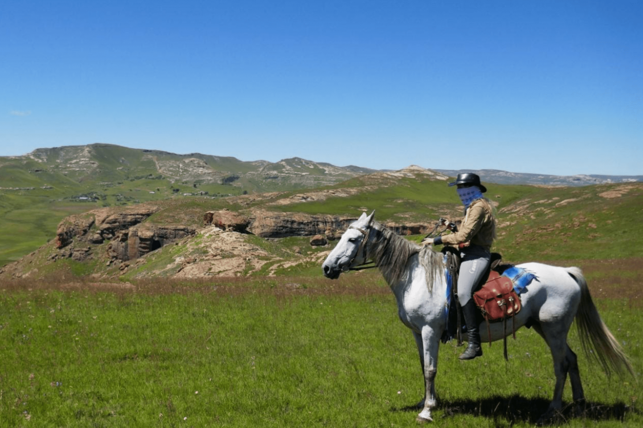 10 Best Horse Breeds for Trail Riding in Tranquility - Horse Rookie