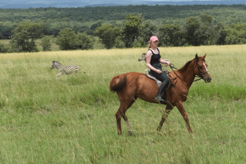 10 Best Horse Breeds for Trail Riding in Tranquility - Horse Rookie
