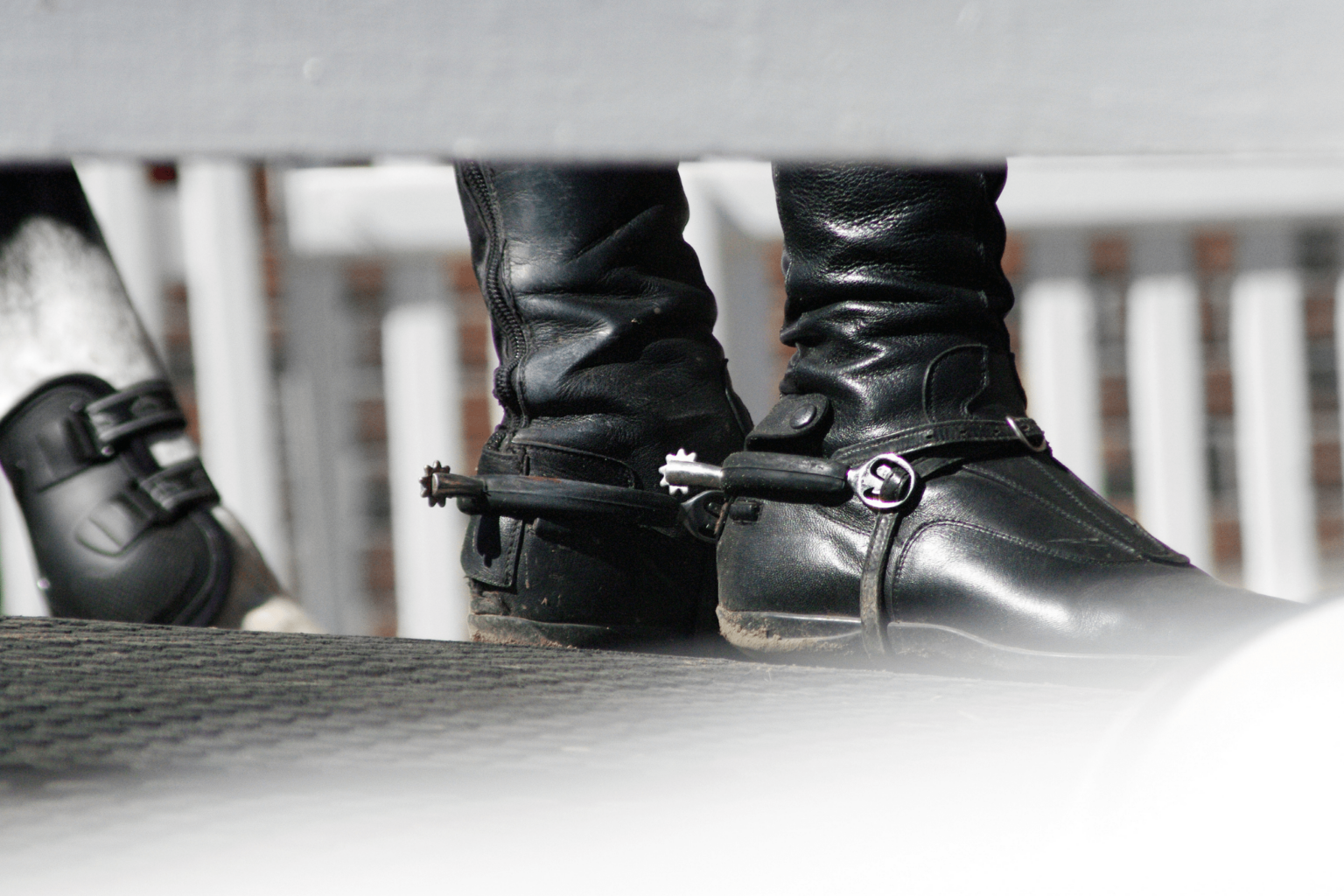 16 Best Women’s Riding Boots for Everyday Equestrians - Horse Rookie