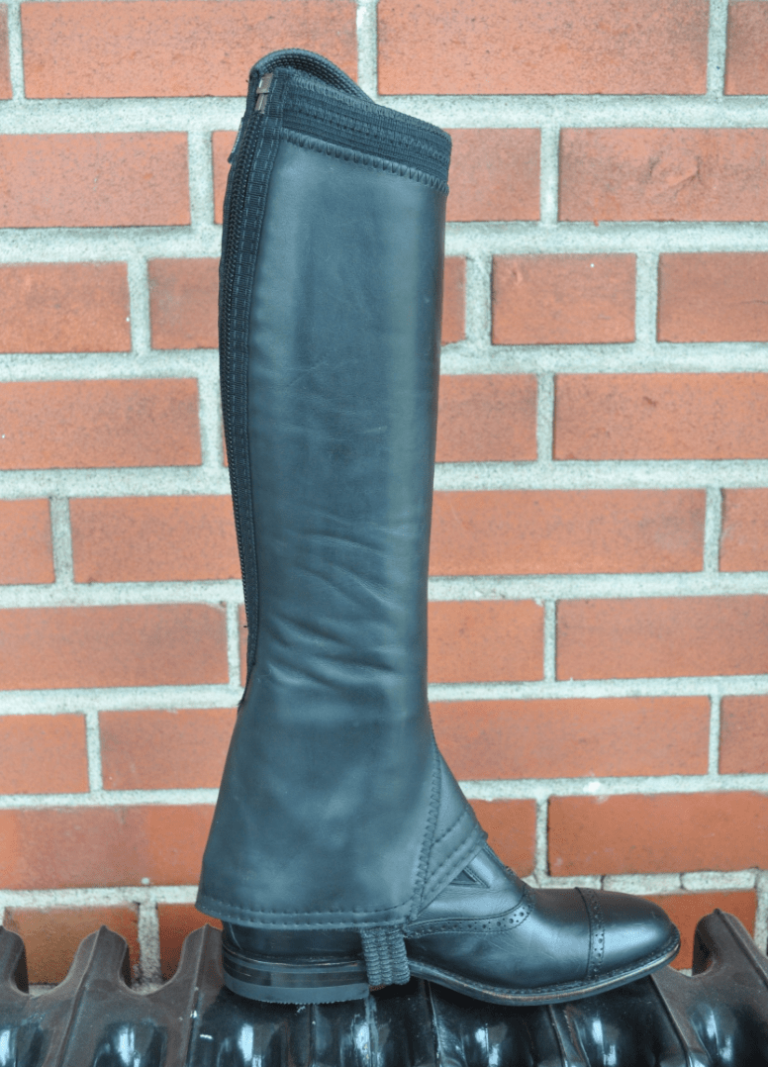 15 Best English Half Chaps for Getting a Grip - Horse Rookie