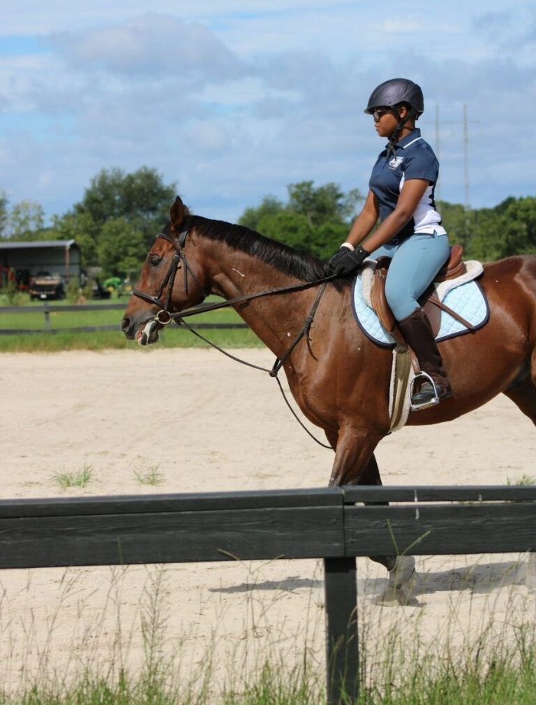 Horse Riding in High School and College (IEA, IHSA) - Horse Rookie