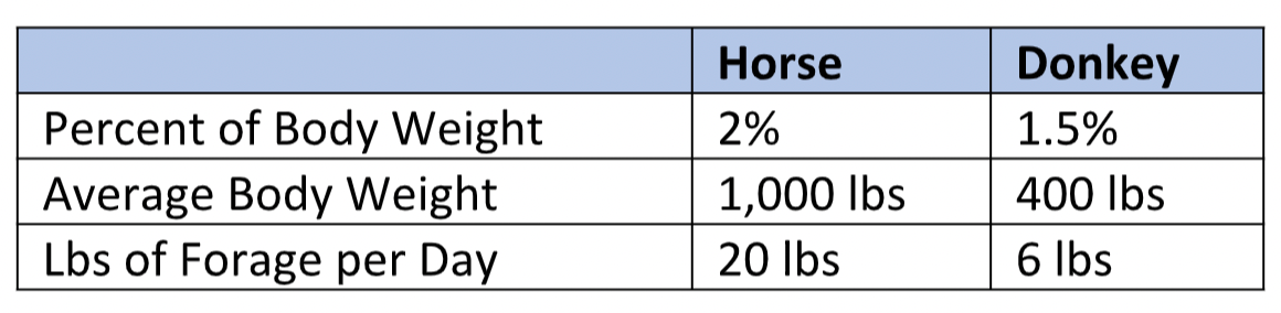 Donkey vs. horse nutrition: What's the difference? - Horse Rookie