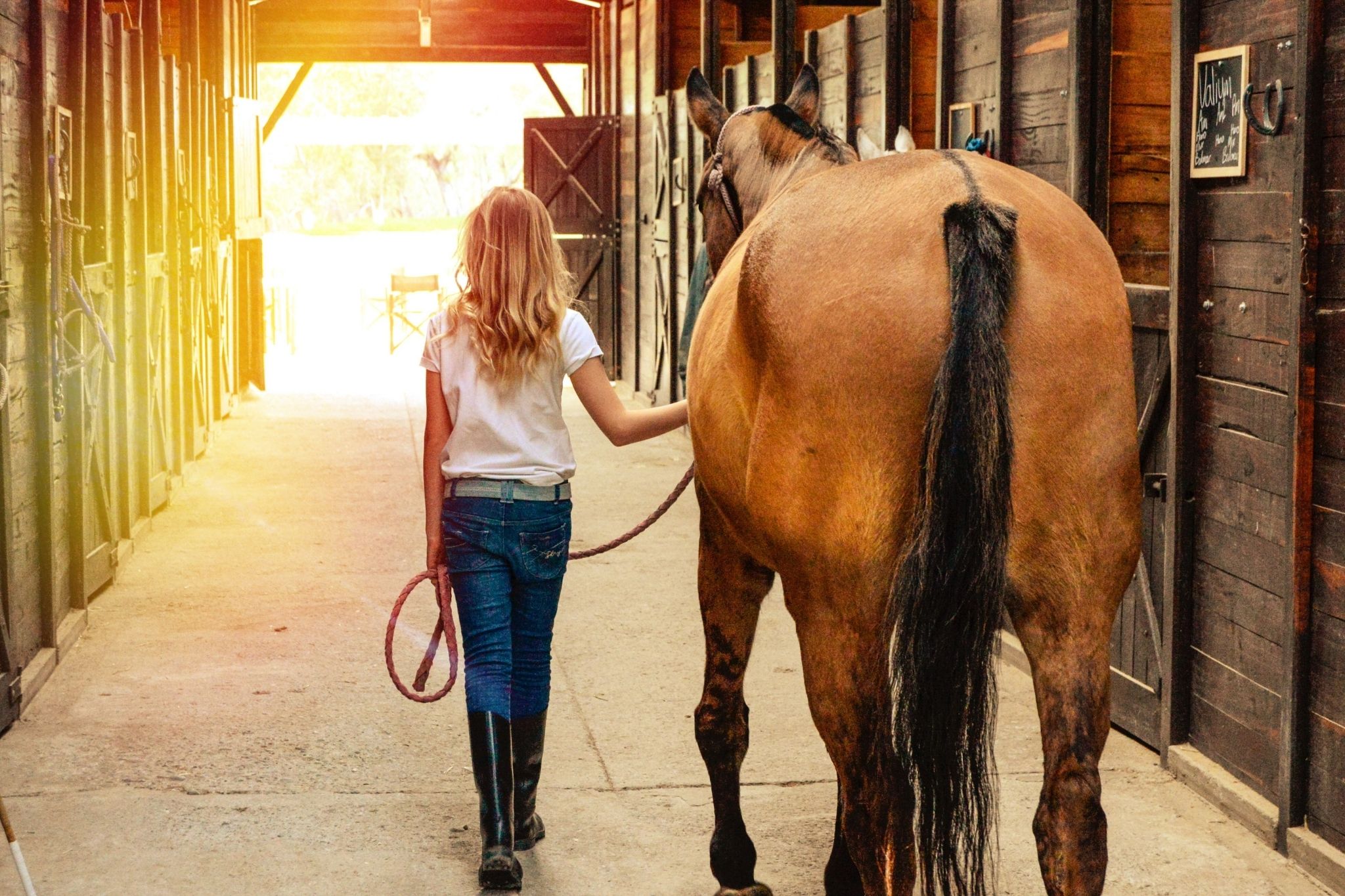 Horse Safety Rules You Can't Afford to Ignore - Horse Rookie