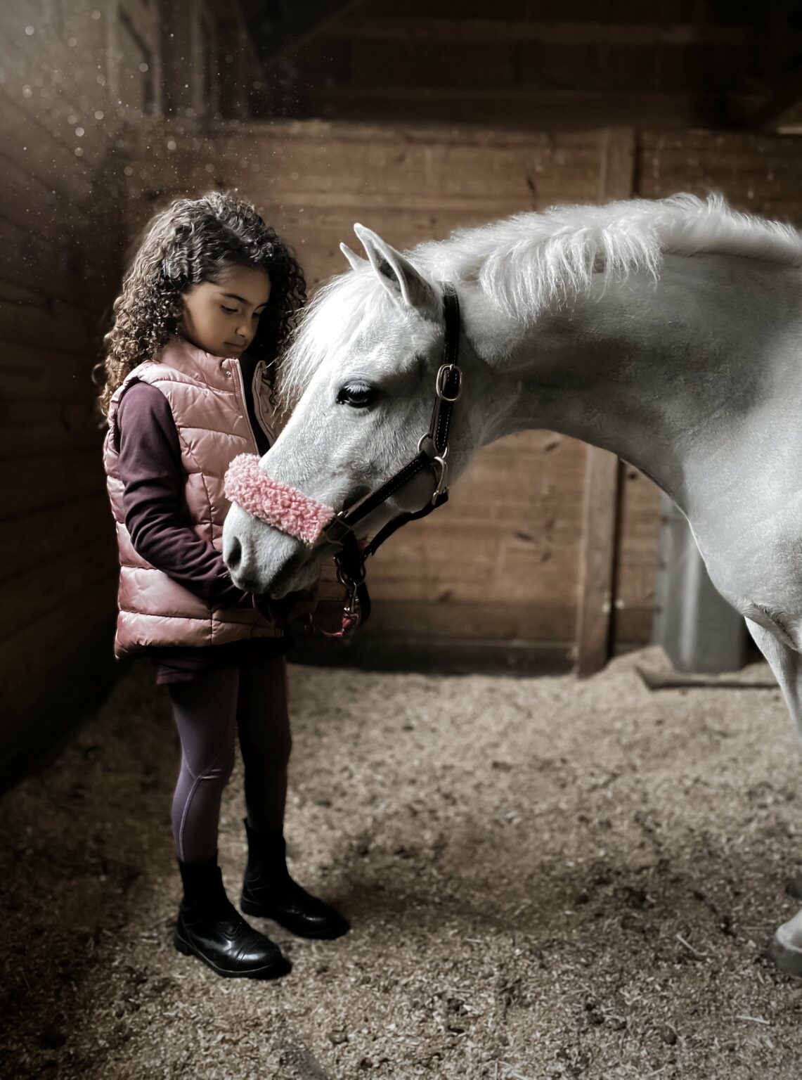 Horse Handling 101: A Helpful Beginner’s Guide - Horse Rookie