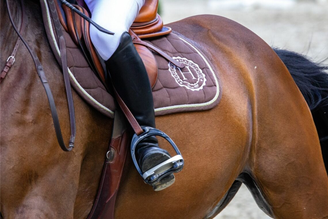 6 Best English Saddles for Hard-to-Fit OTTBs - Horse Rookie
