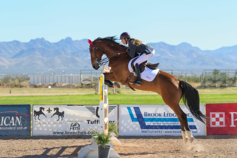 Jump Jargon: A Simple Guide to Horse Jumping Terms - Horse Rookie
