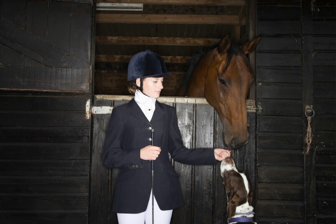 7 Best Dog Breeds for Horseback Riding Harmony - Horse Rookie