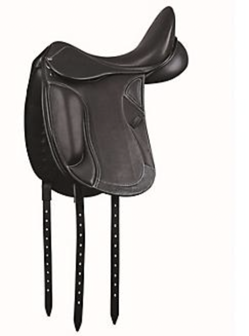 6 Best English Saddles for Hard-to-Fit OTTBs - Horse Rookie
