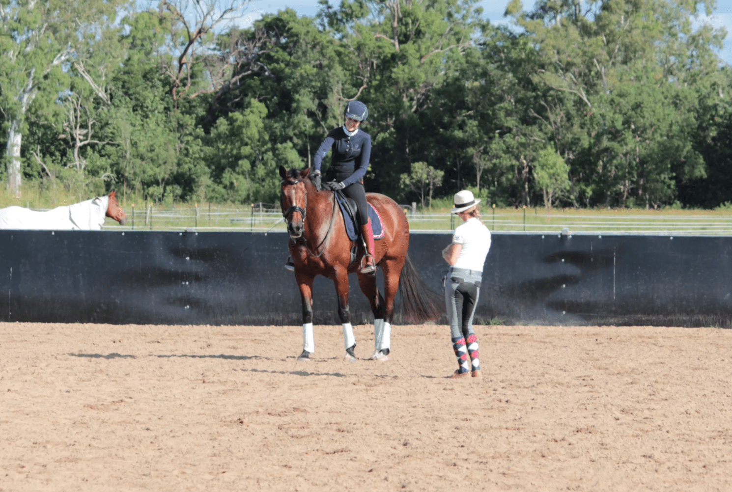 3 Essential Ingredients That Make A Great Coach - Horse Rookie