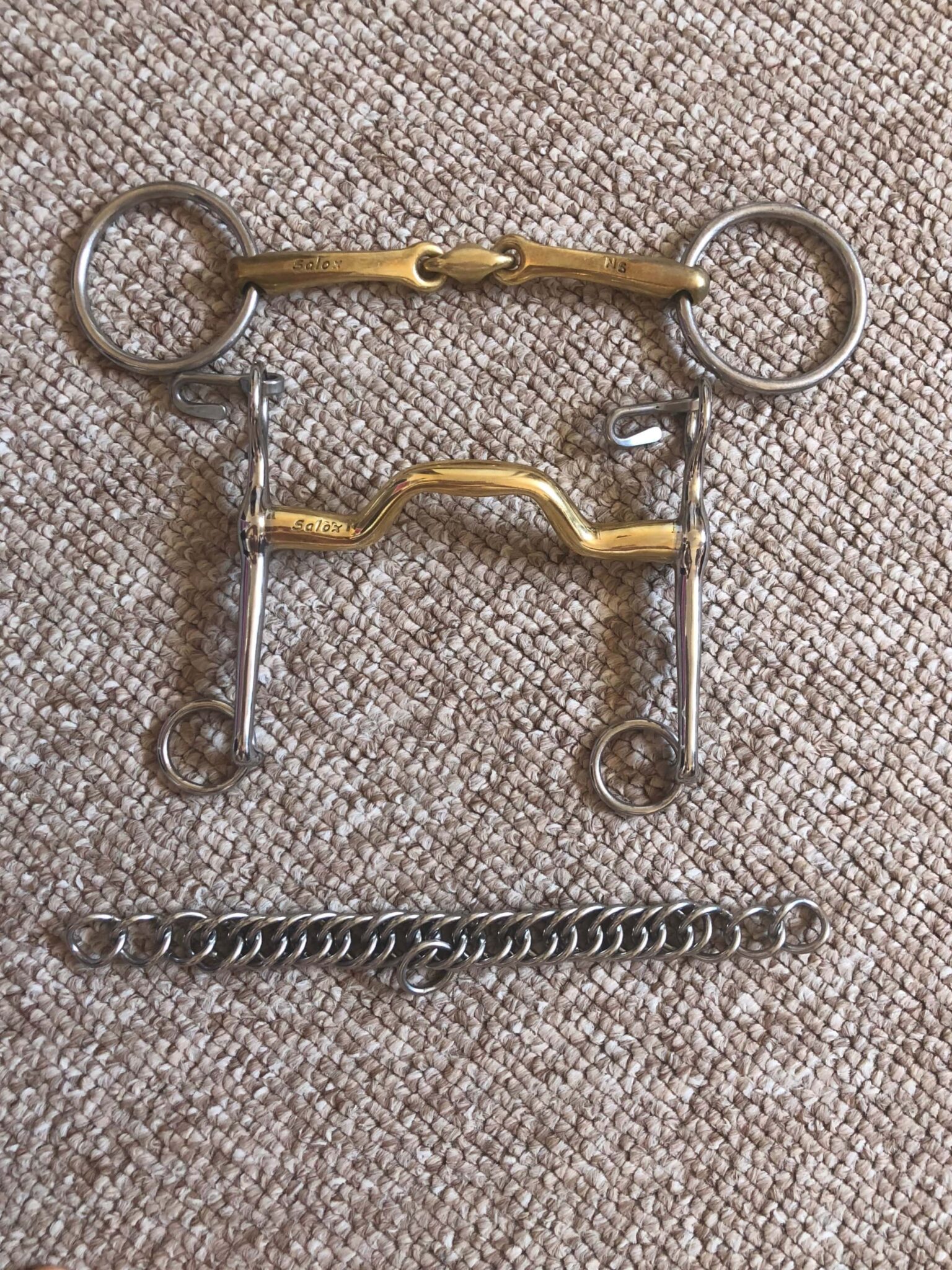 Dressage Tips: How to Use a Double Bridle for Beginners - Horse Rookie