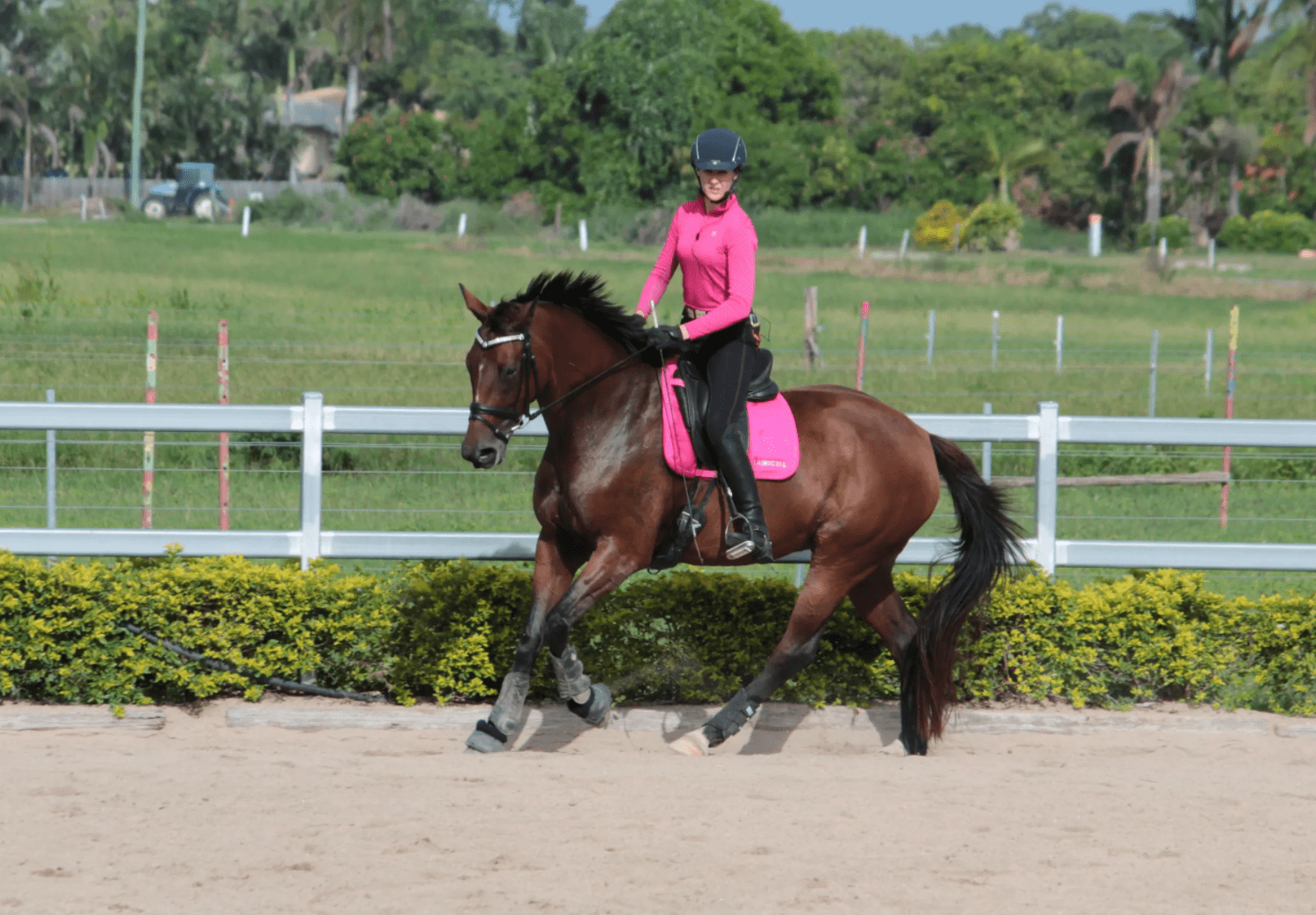 3 Essential Ingredients That Make A Great Coach - Horse Rookie