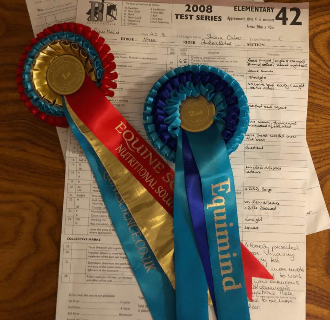 Why You Need To Try Equimind Online Competitions - Horse Rookie