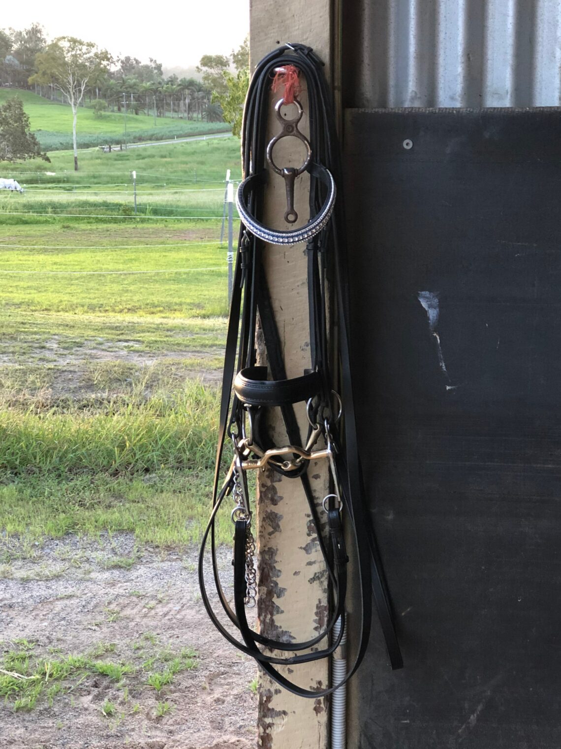 Equestrian Tip: Why It's Worth Working On The Basics - Horse Rookie