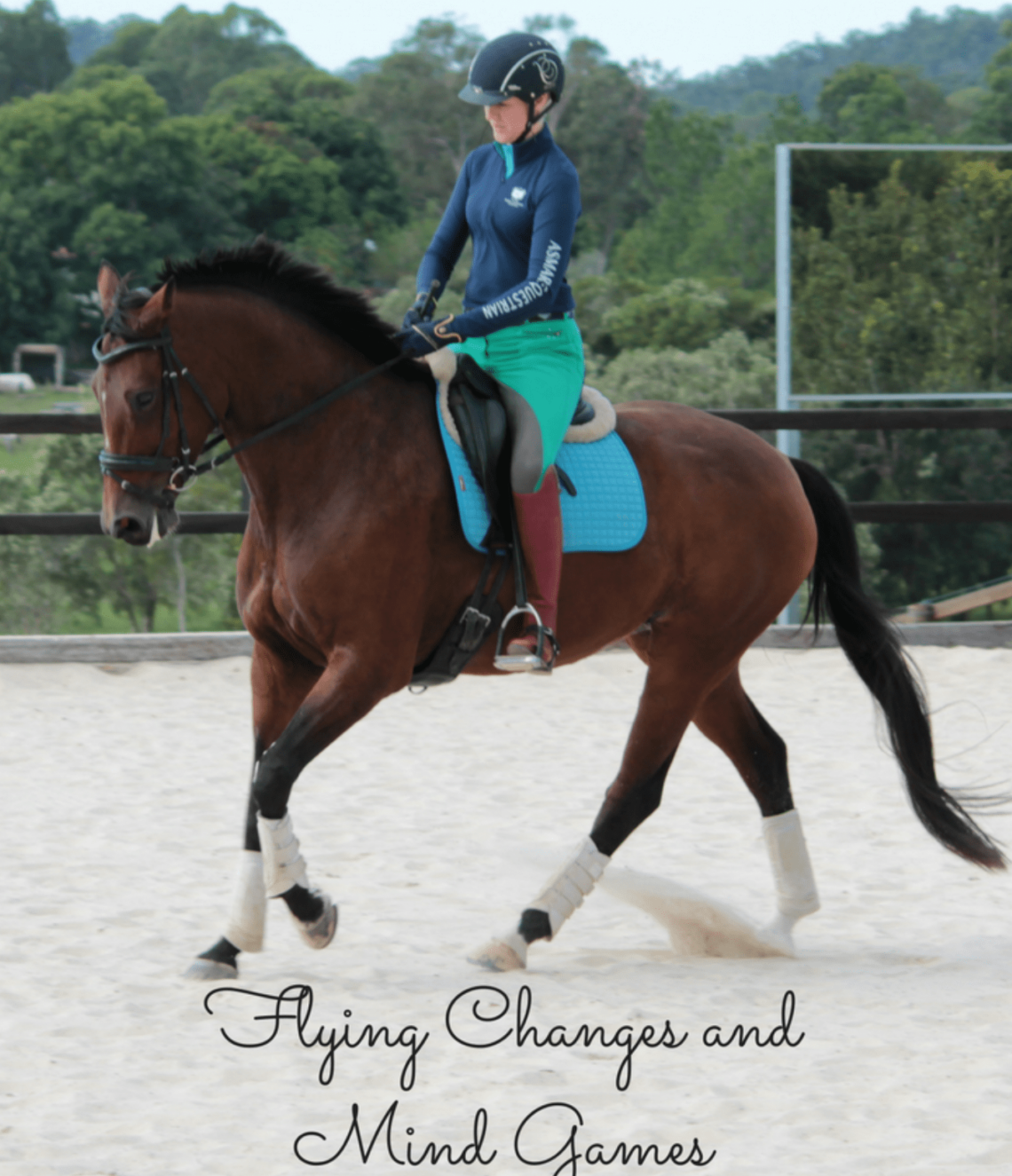 Flying Changes And Mind Games - Horse Rookie