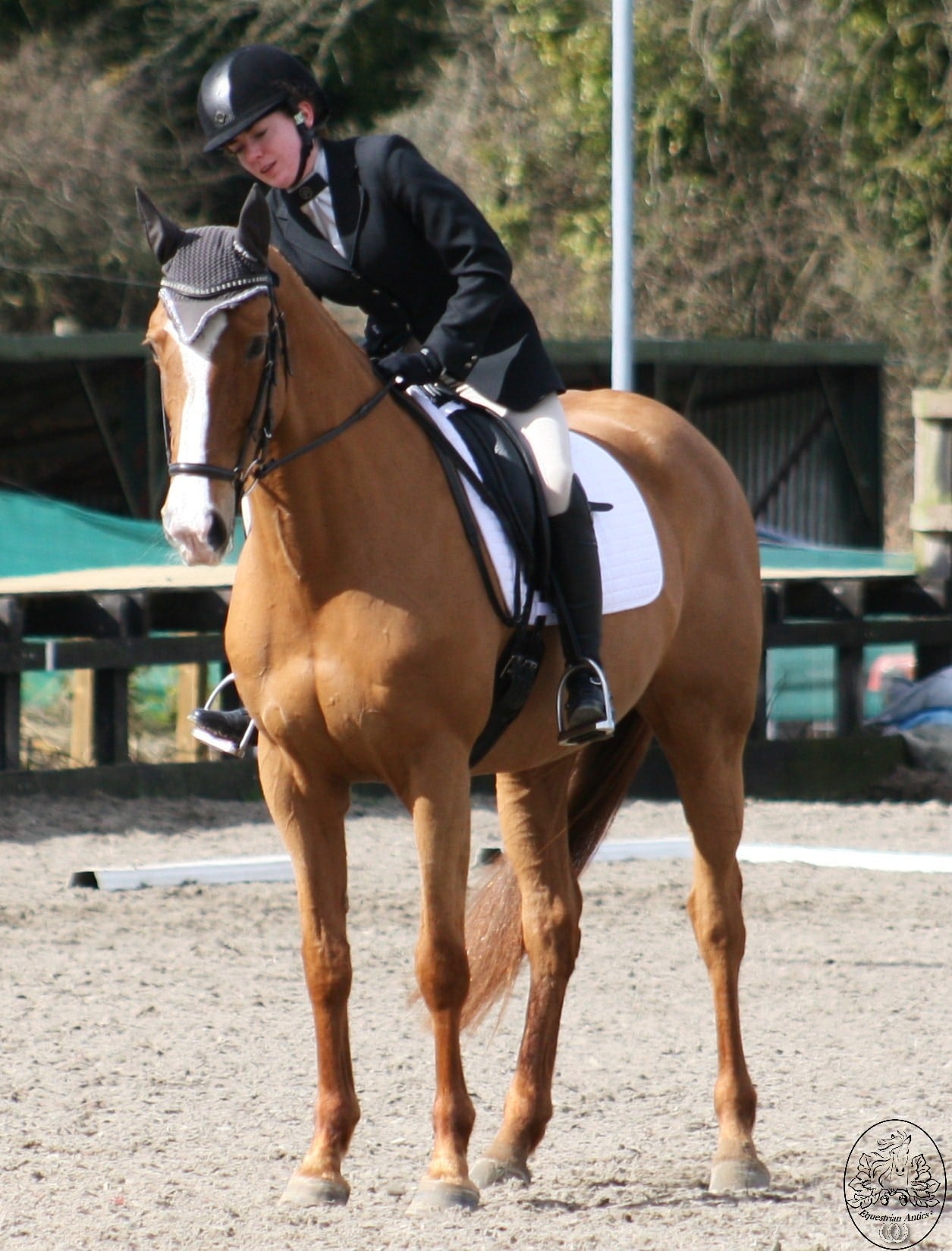 Body Image Stories From Horse Riders - Horse Rookie