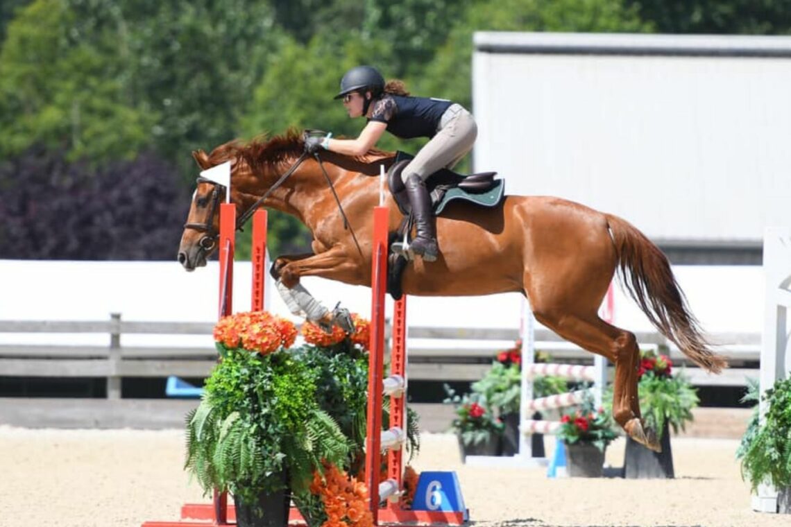 Horse Jumping Position 101: How to Get It Right - Horse Rookie