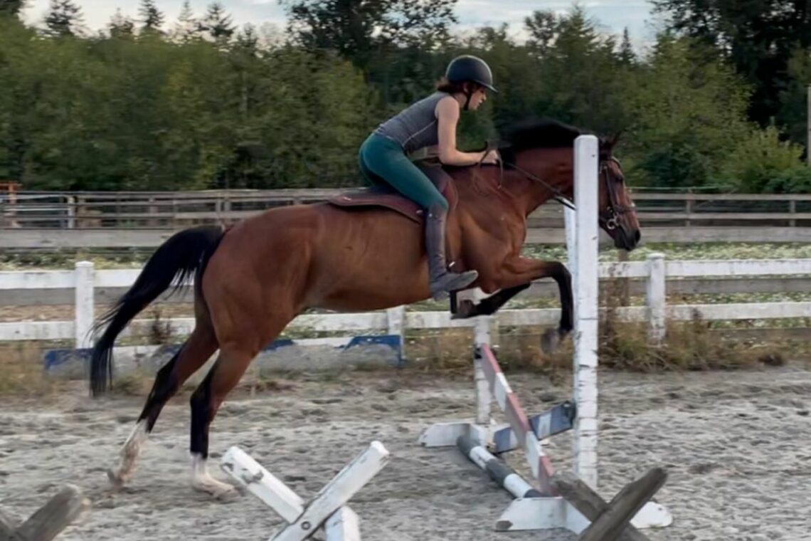 Horse Jumping Position 101: How to Get It Right - Horse Rookie