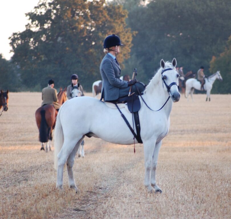 Interview: Riding Side Saddle with Katie Ockendon-Evans - Horse Rookie