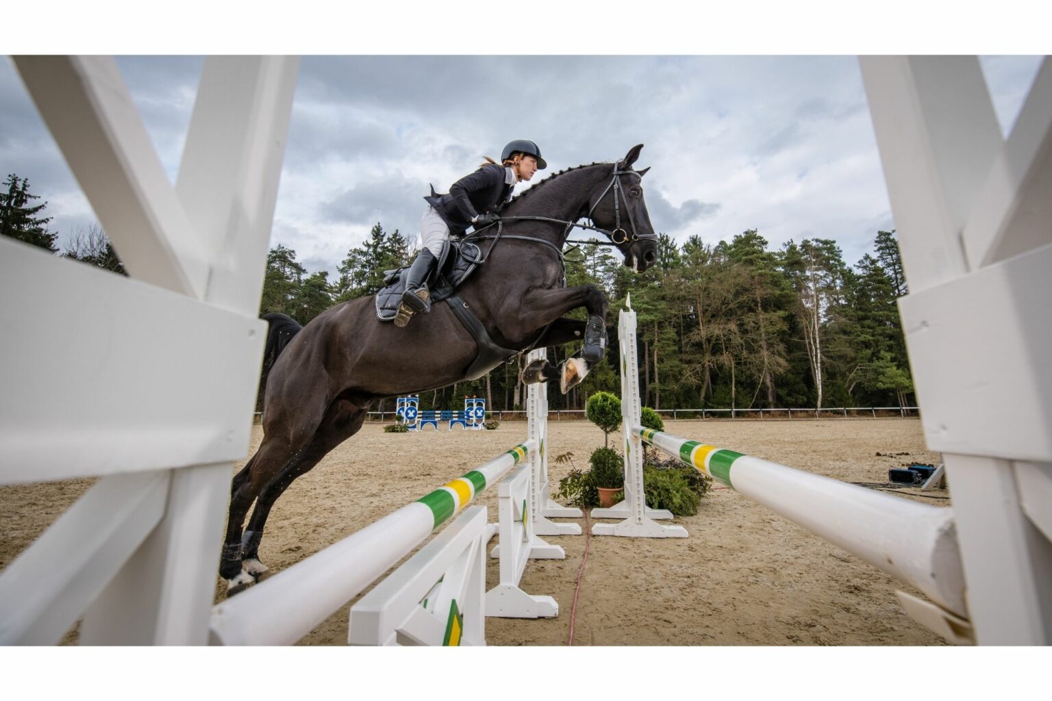 How to Set Up a Show Jump Course for Beginners - Horse Rookie