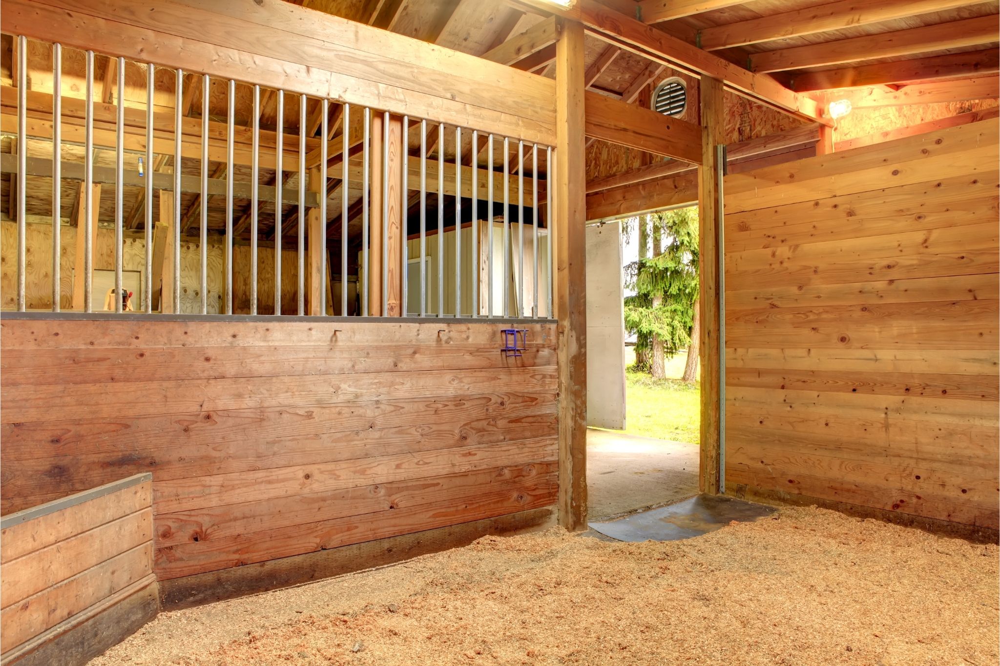 Down 'n Dirty Horse Barn Cleaning Tips - Horse Rookie