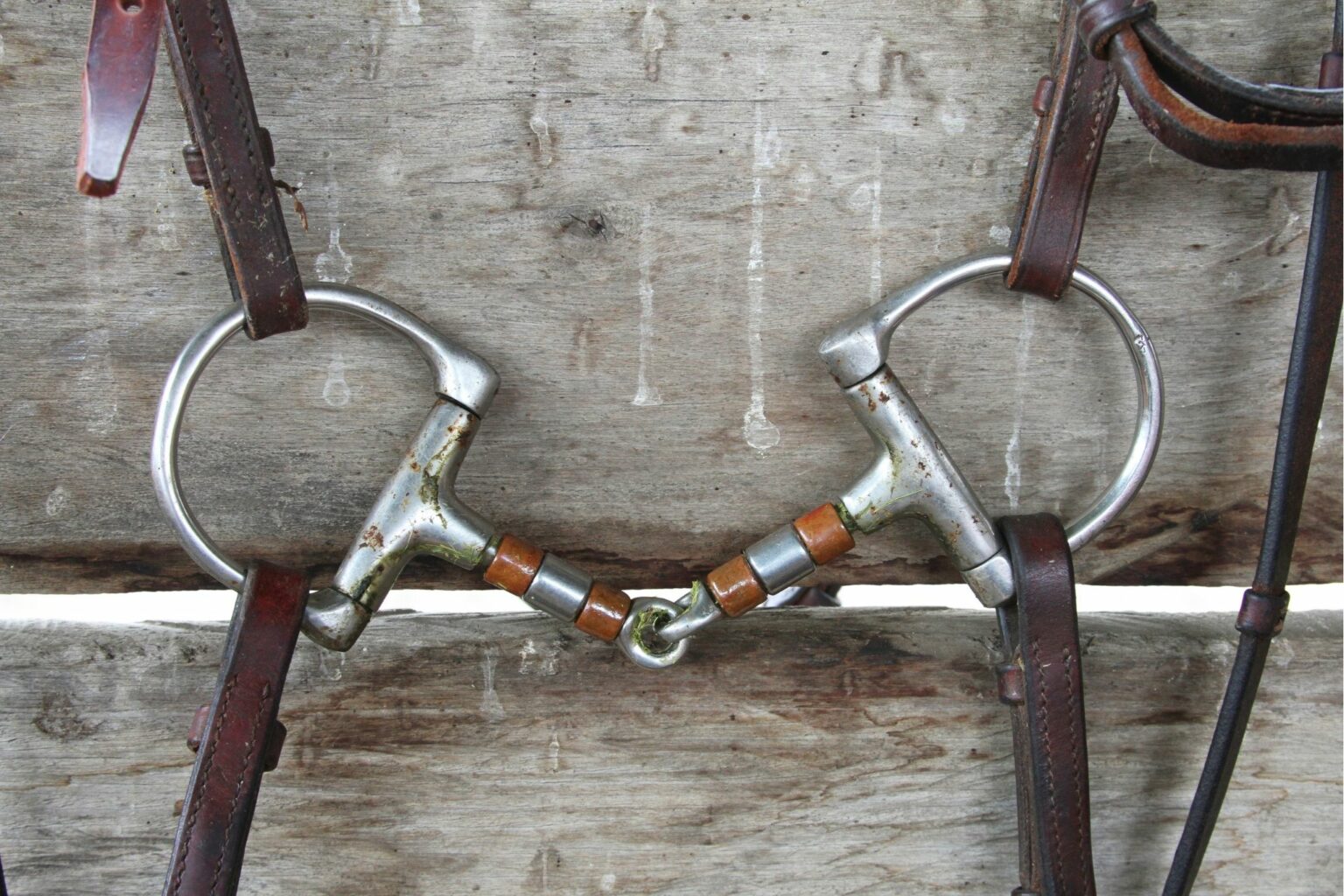 6 Best Bits with Rollers to Help Busy-Brain Horses Relax - Horse Rookie