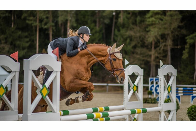 Walking a Show Jumping Course: A Helpful Beginner's Guide - Horse Rookie