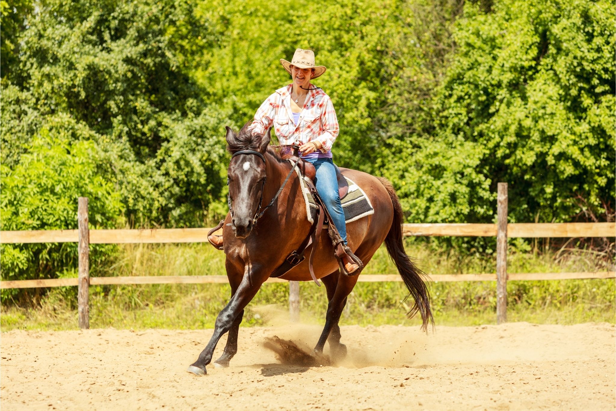 A Beginner's Guide to Reining (Tips, Maneuvers, etc.)