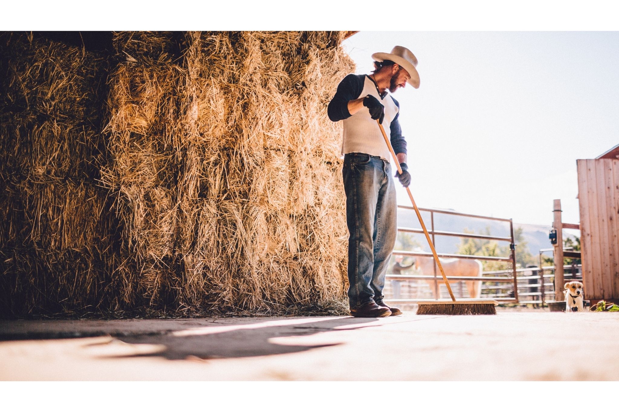 Down 'n Dirty Horse Barn Cleaning Tips - Horse Rookie