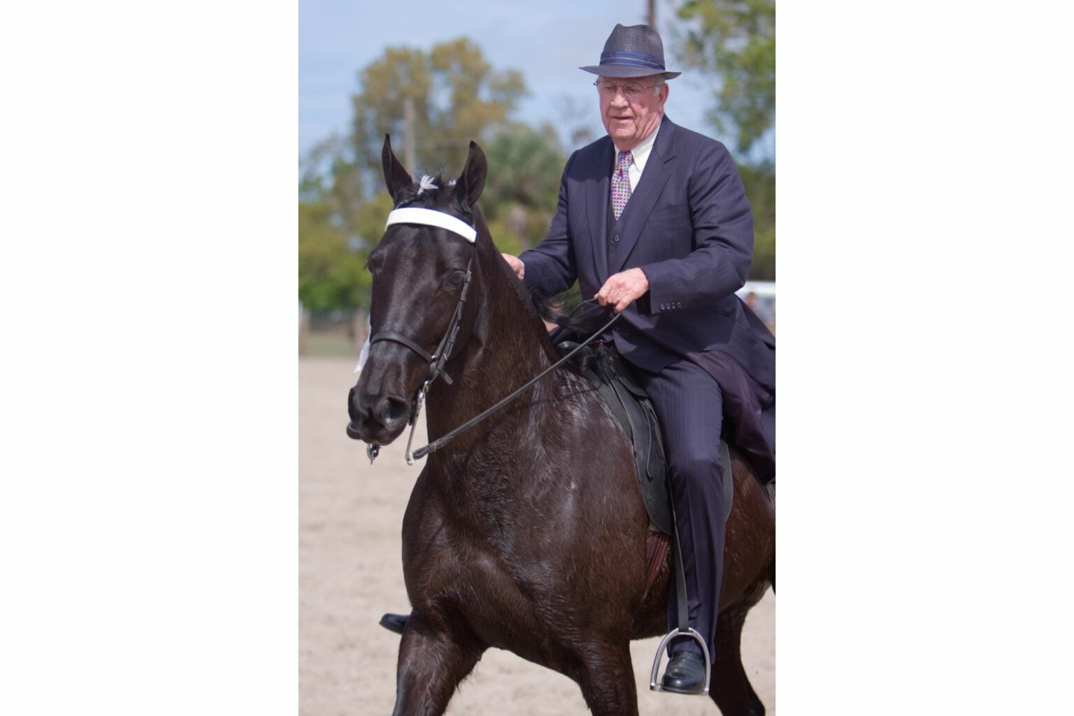 7 Amazing Gaited Horse Breeds You Need to Meet - Horse Rookie