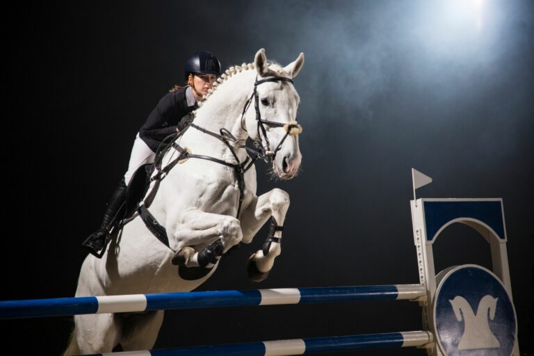 How to Set Up a Show Jump Course for Beginners - Horse Rookie