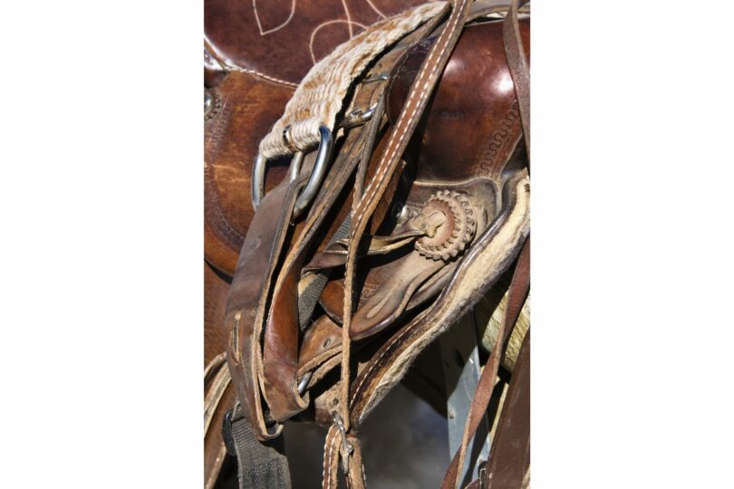 6 Best Cinches for Trail Riding in All-Day Comfort - Horse Rookie