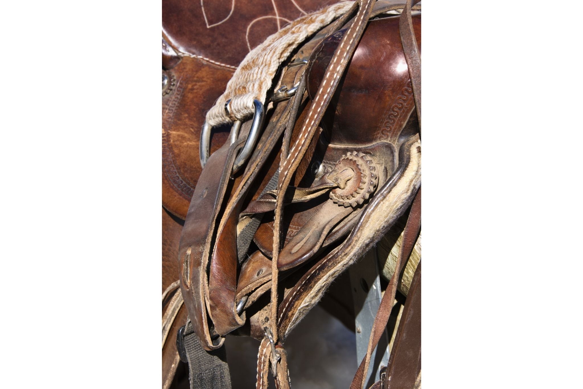 6 Best Cinches for Trail Riding in All-Day Comfort - Horse Rookie