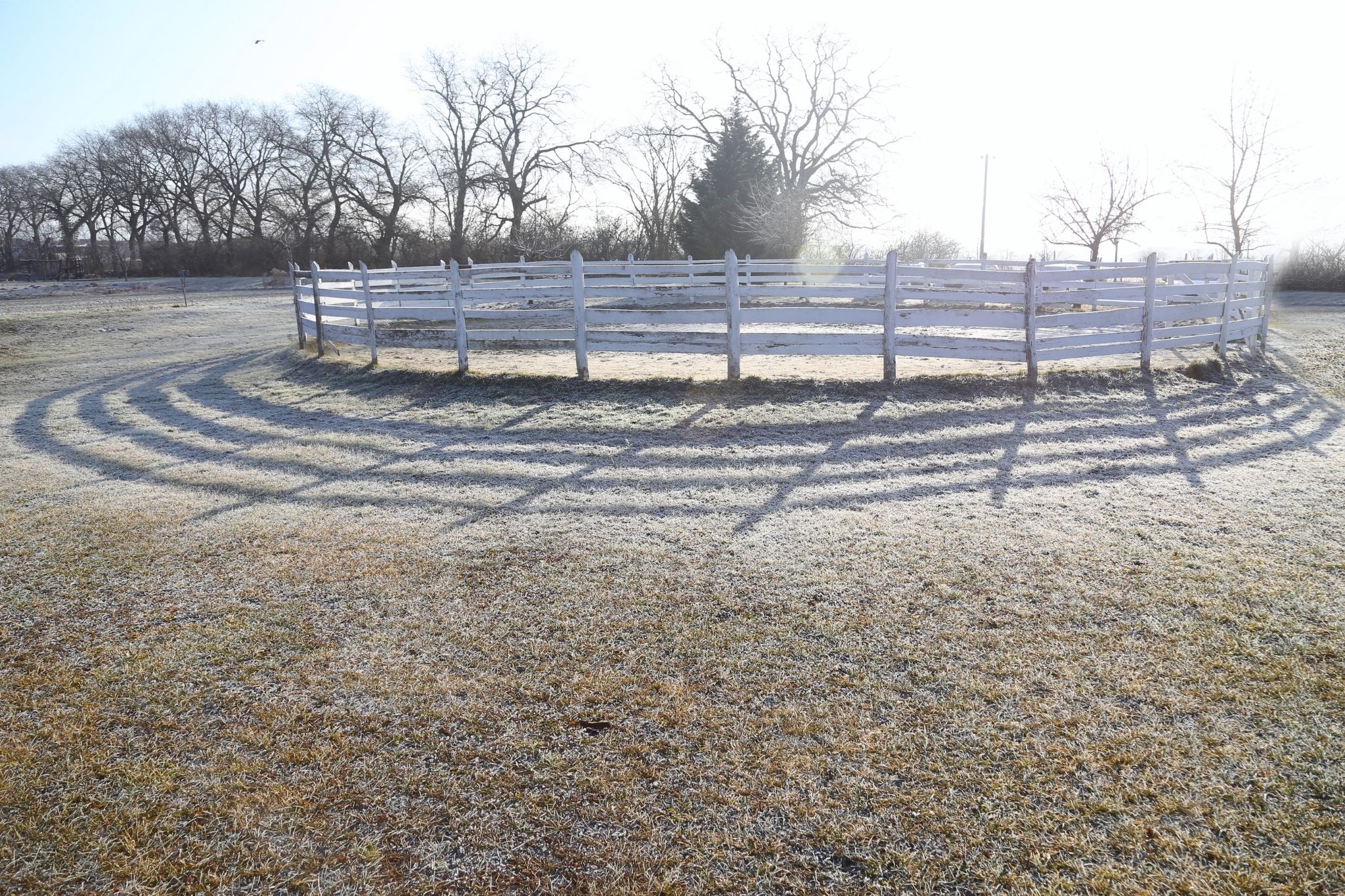 Horse Round Pens What s The Perfect Of Panels Horse Rookie Horse Round Pens What s The Perfect Of Panels Horse Rookie