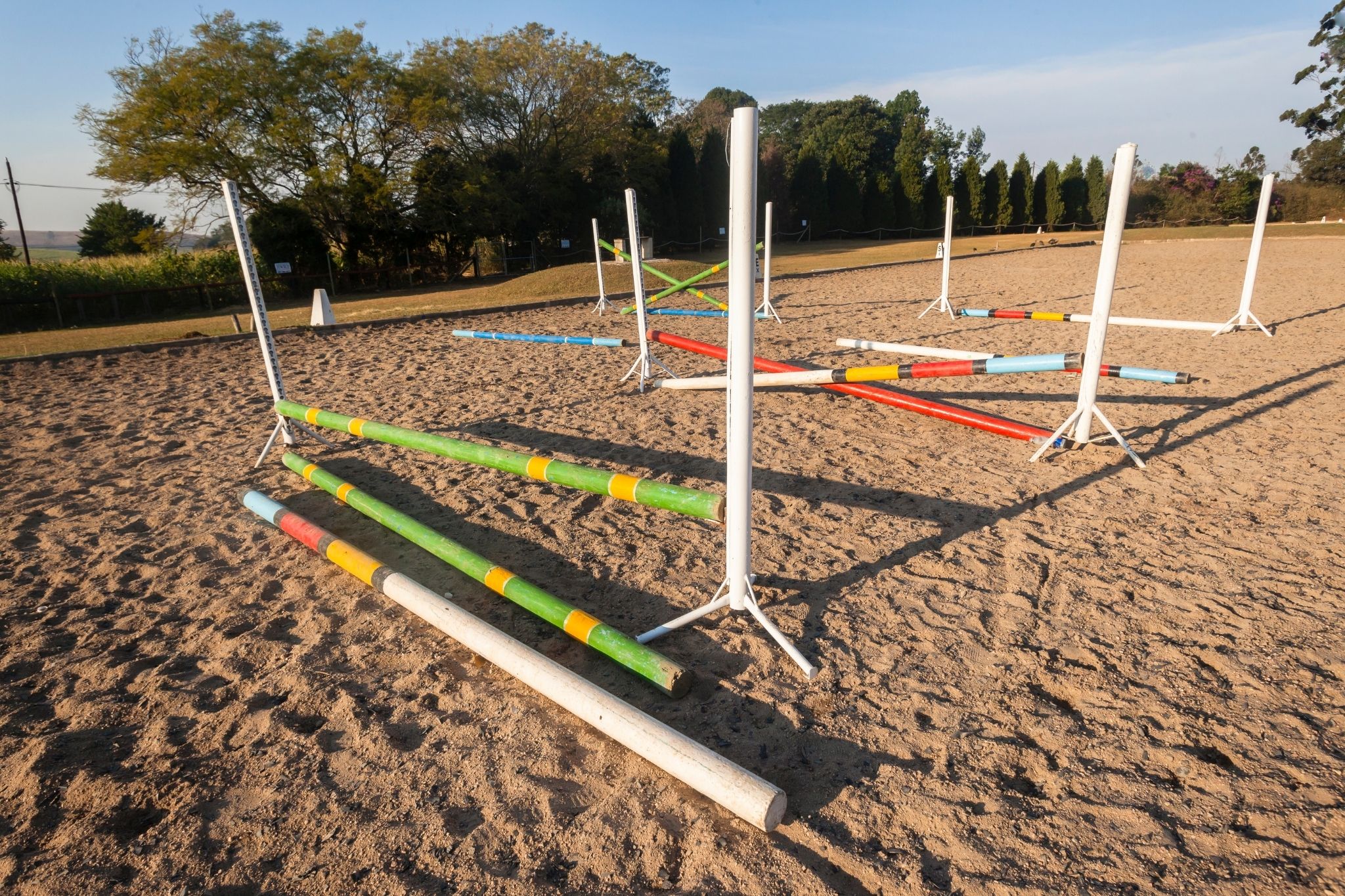 How to Walk (And Ride!) a Bounce Jump for Beginners - Horse Rookie